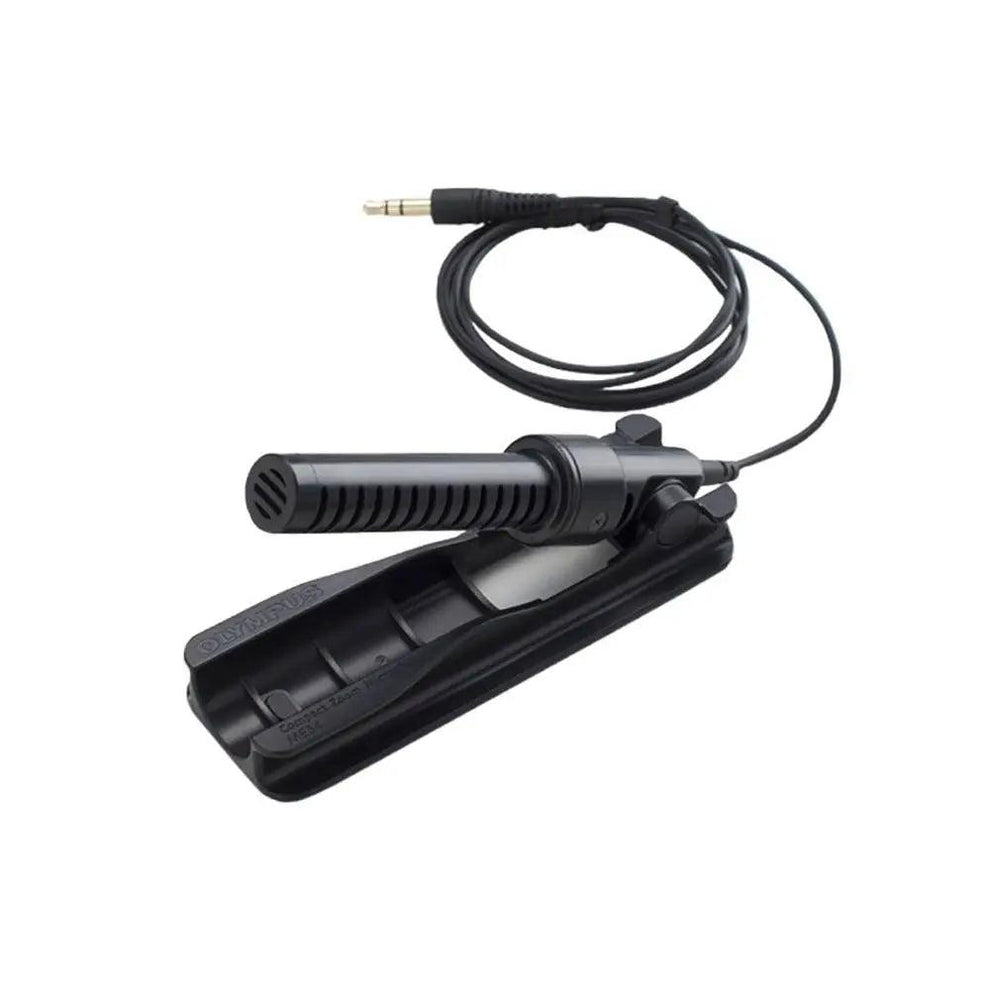 Olympus ME-34 Compact Zoom Microphone. Great for distance recording.